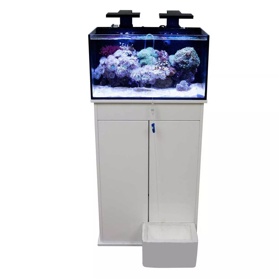 Fish Acclimation Guide – Nemo's Reef