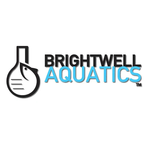 Brightwell Aquatics – Nemo's Reef