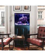 40 NUVO Mini Fusion PRO 2 AIO Aquarium with Black APS Stand – Nemo's Reef