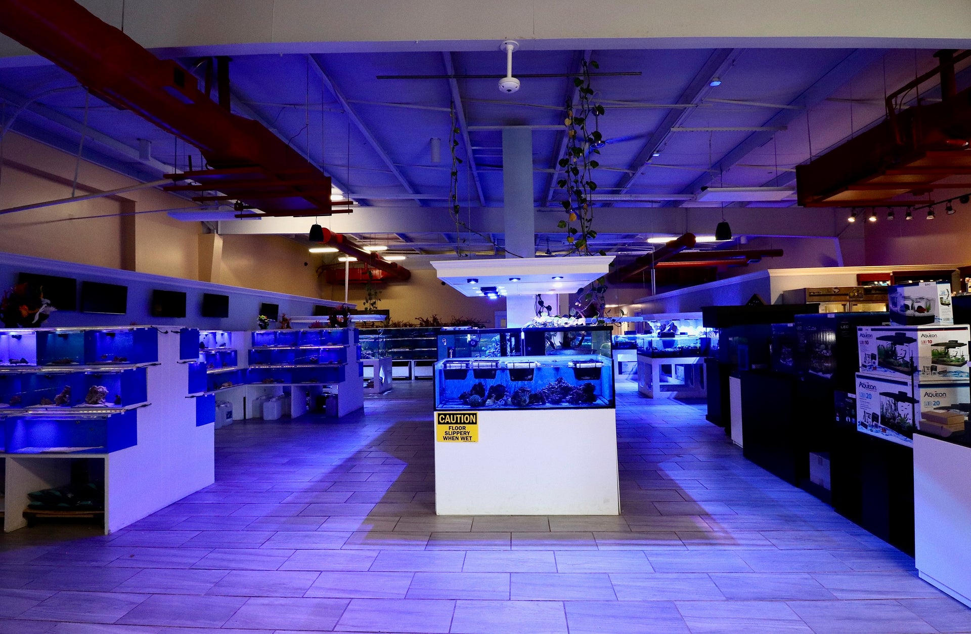 Nemo's Reef - Aquarium Superstore in Charlotte, North Carolina!