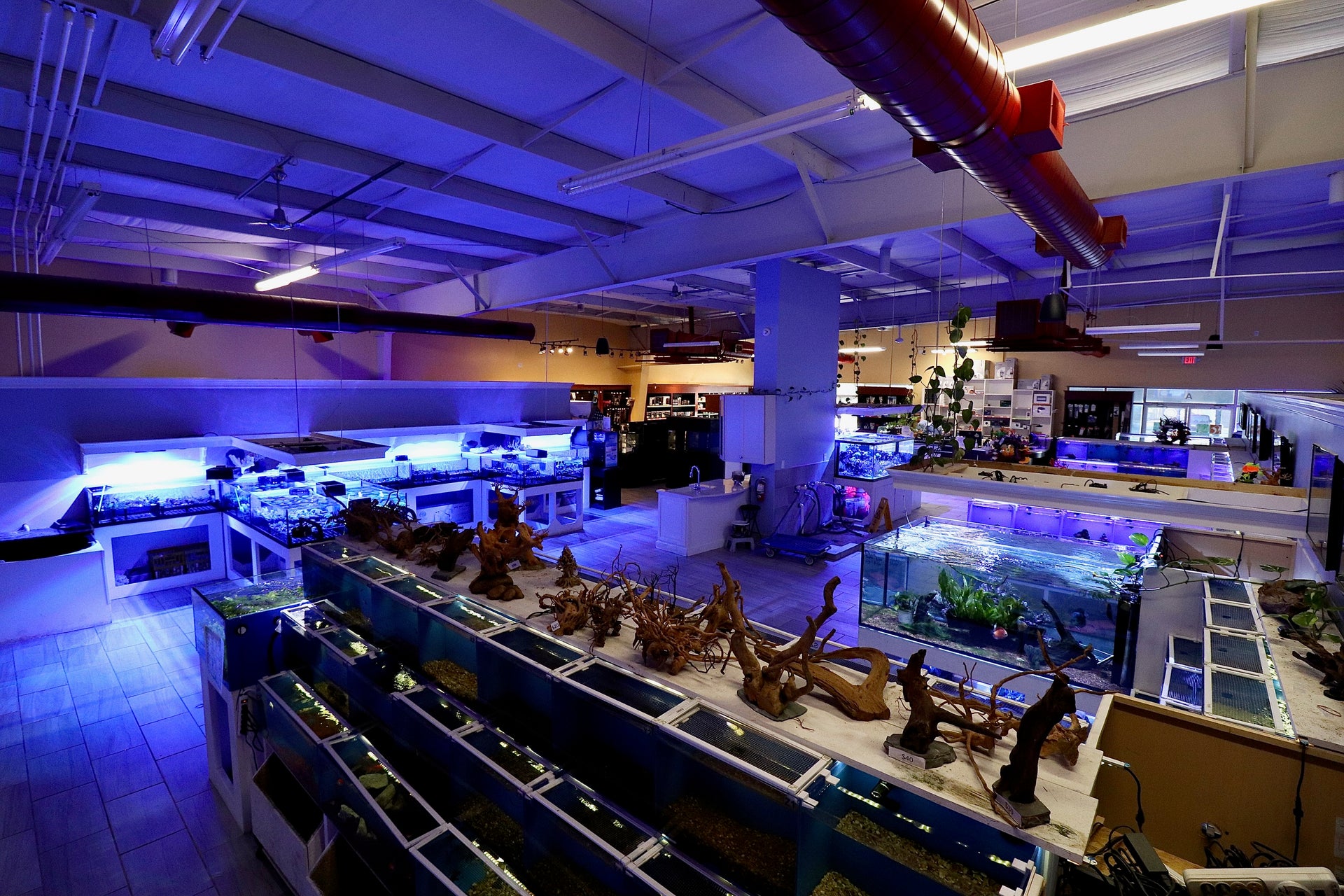 Nemo's Reef - Aquarium Superstore in Charlotte, North Carolina!